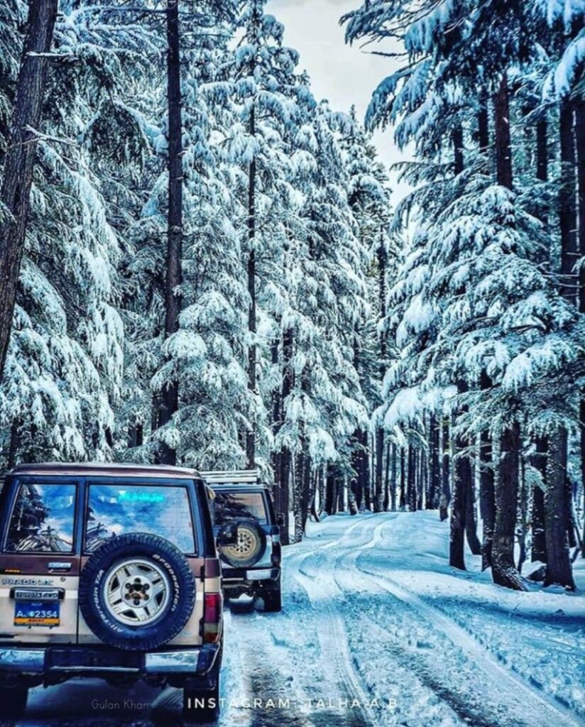 Swat Valley in Winter: Skiing, Snow Adventures & Malam Jabba Travel ...